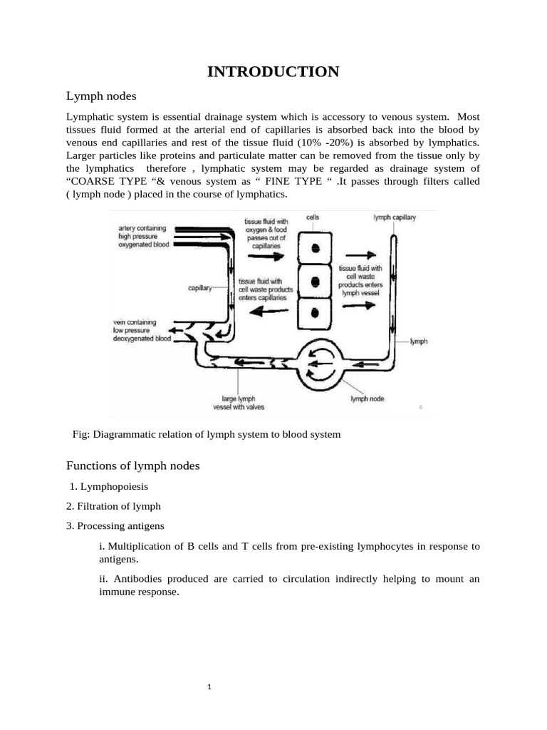 Final Perio Examination of Muscles of Mastication and Lymph Nodes - 1 | PDF