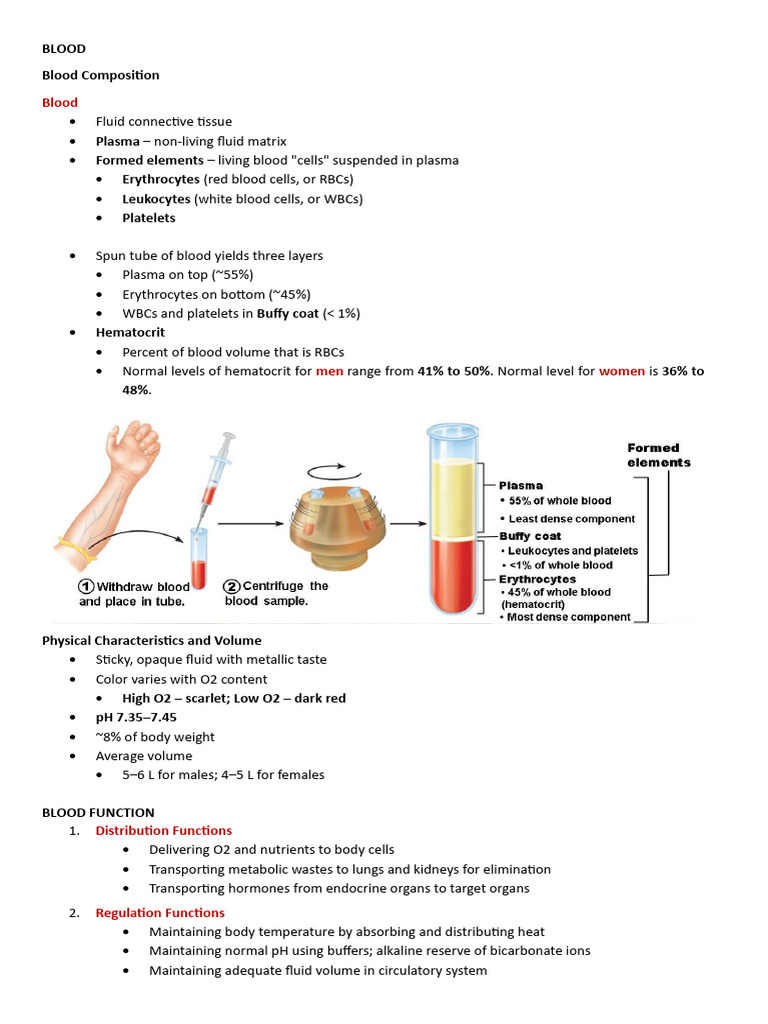 AnaPhy 7 Blood | PDF | Anemia | Red Blood Cell