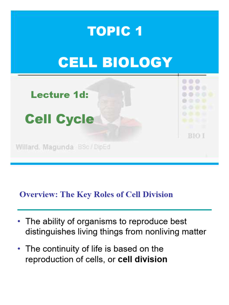 1d - The Cell Cycle PDF | PDF