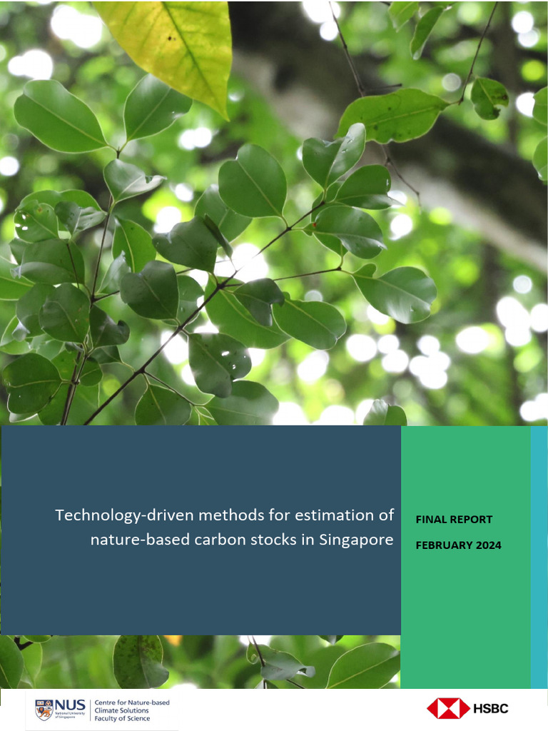 NUS CNCS HSBC Project Final Report - Without Track Changes | PDF