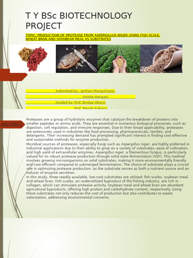 T Y BSC Biotechnology Project | PDF