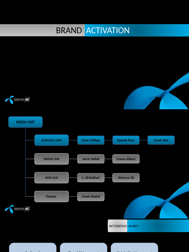 Introduction of Telenor Team | PDF