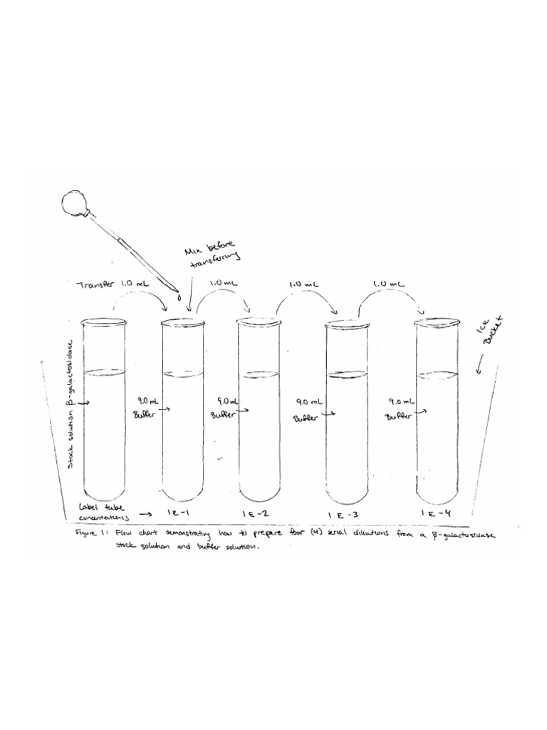 BIOL241 LAB 2 - Flow Chart 1-2 | PDF
