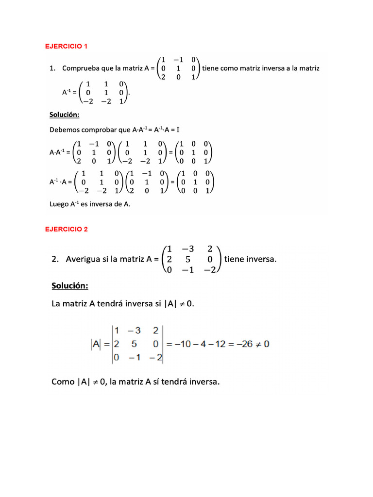 Matriz Inversa | PDF
