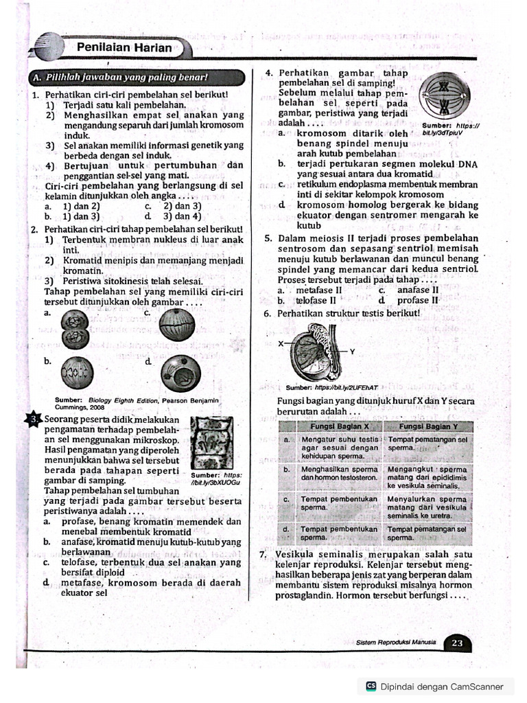 Latihan Soal Sistem Reproduksi | PDF