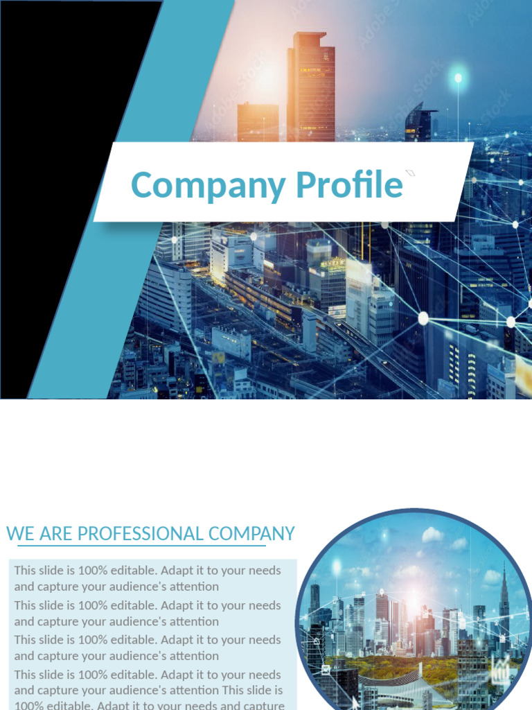 Company Profile Presentation | PDF