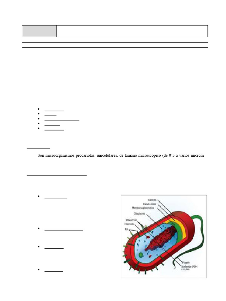 Fg06-Infecciones y Neoplasias | PDF