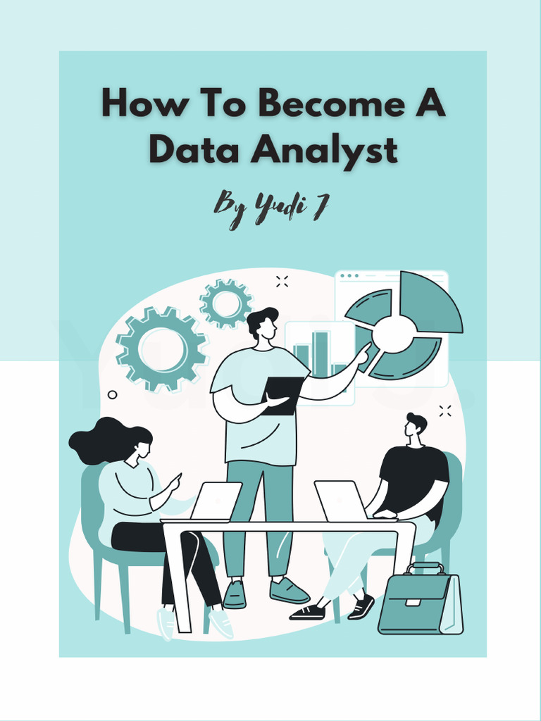 Data Analyst Guide | PDF