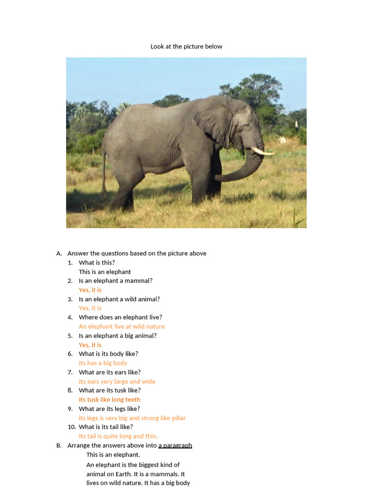 Elephant Answers | PDF
