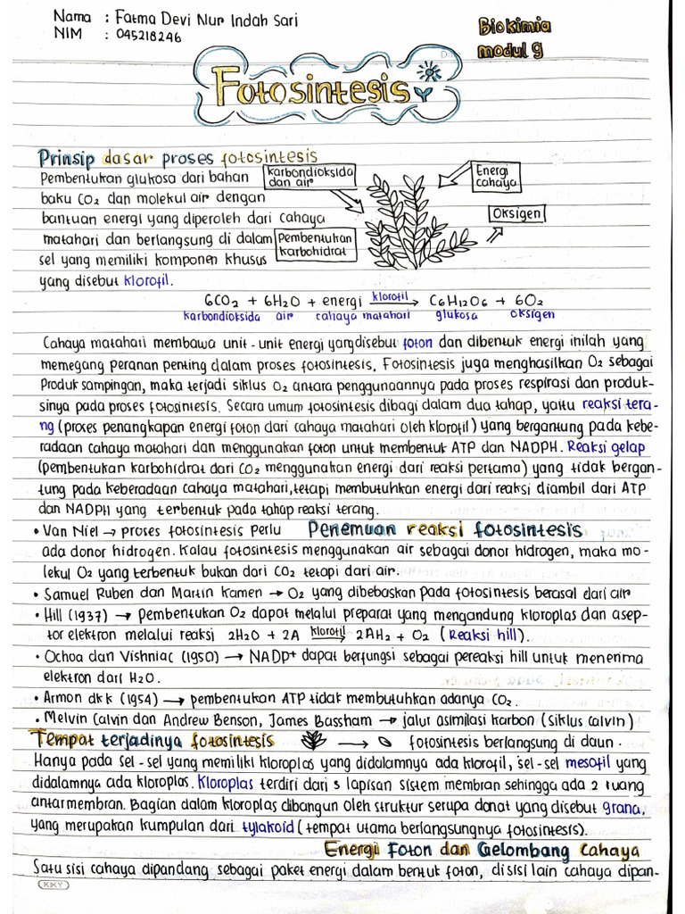 FATMA DEVI Biokim | PDF