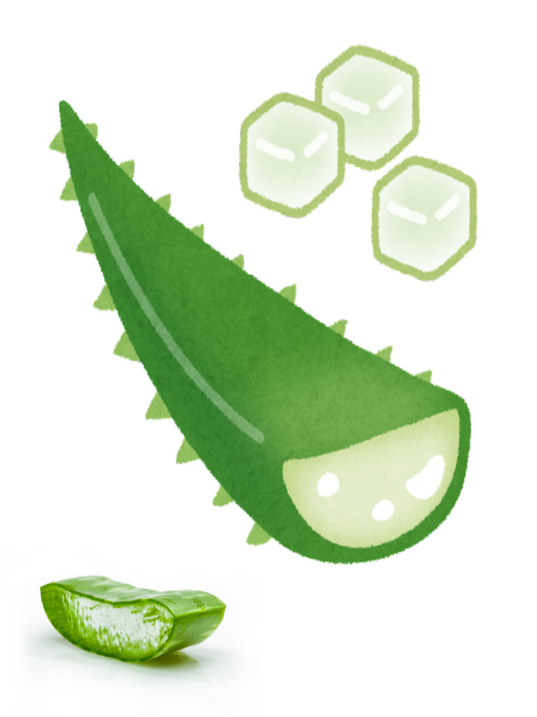 Aloe Vera | PDF