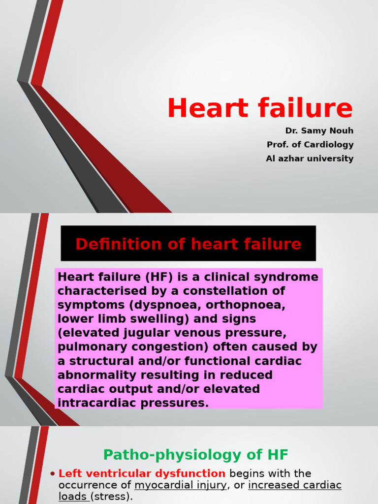 19 - HF - Copy Samy | PDF