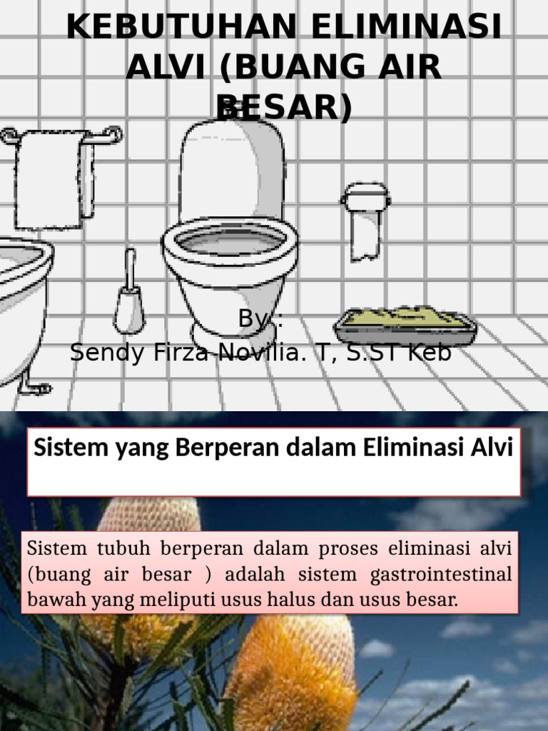 5.1 Kebutuhan Eliminasi Alvi | PDF