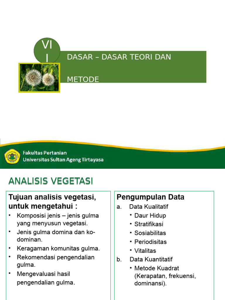TM 7 Analisis Vegetasi Gulma (Management Summed Dominant Ratio (SDR) of Weed) | PDF
