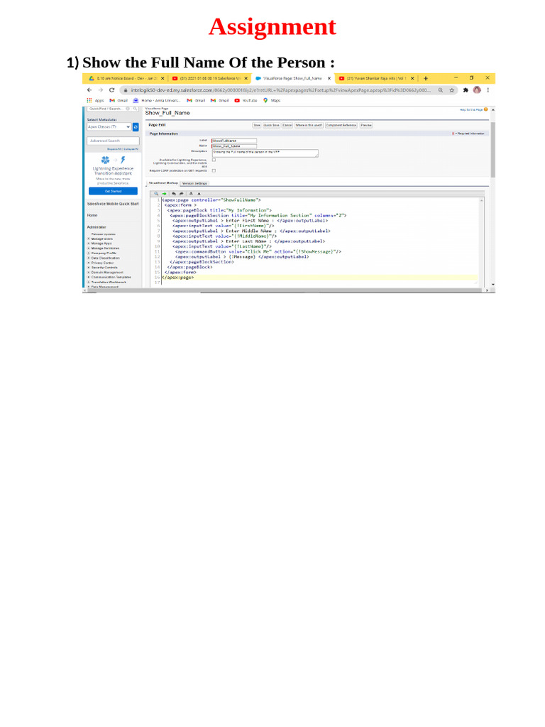 SalesForce Assignment8 | PDF
