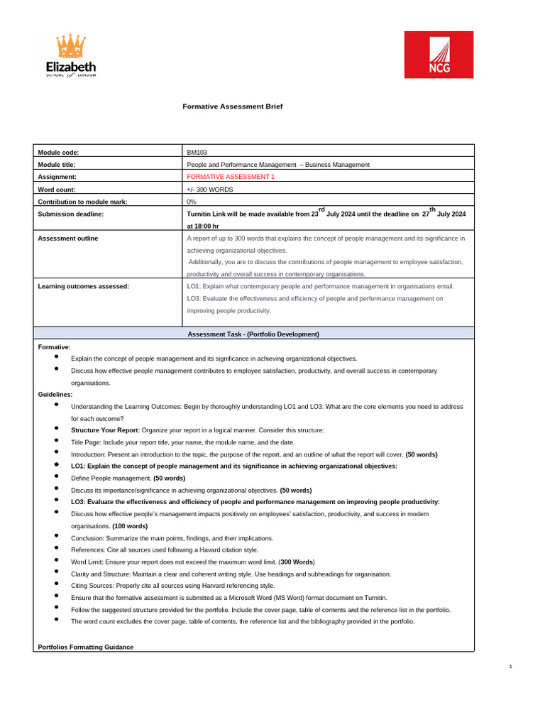 Formative Assessment Brief 1 | PDF