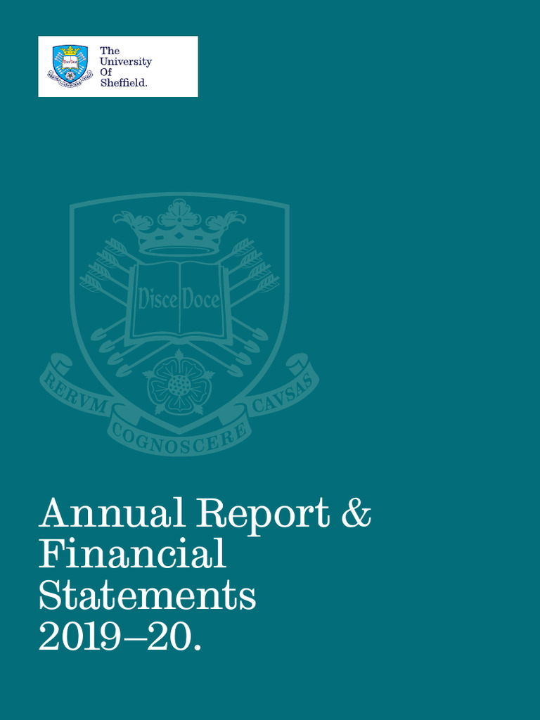 University Sheffield Annual Report Financial Statements 2019 20 | PDF ...