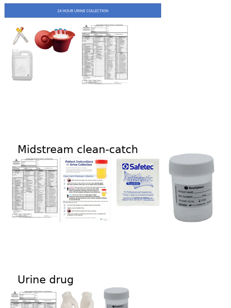 Urine collection | PDF