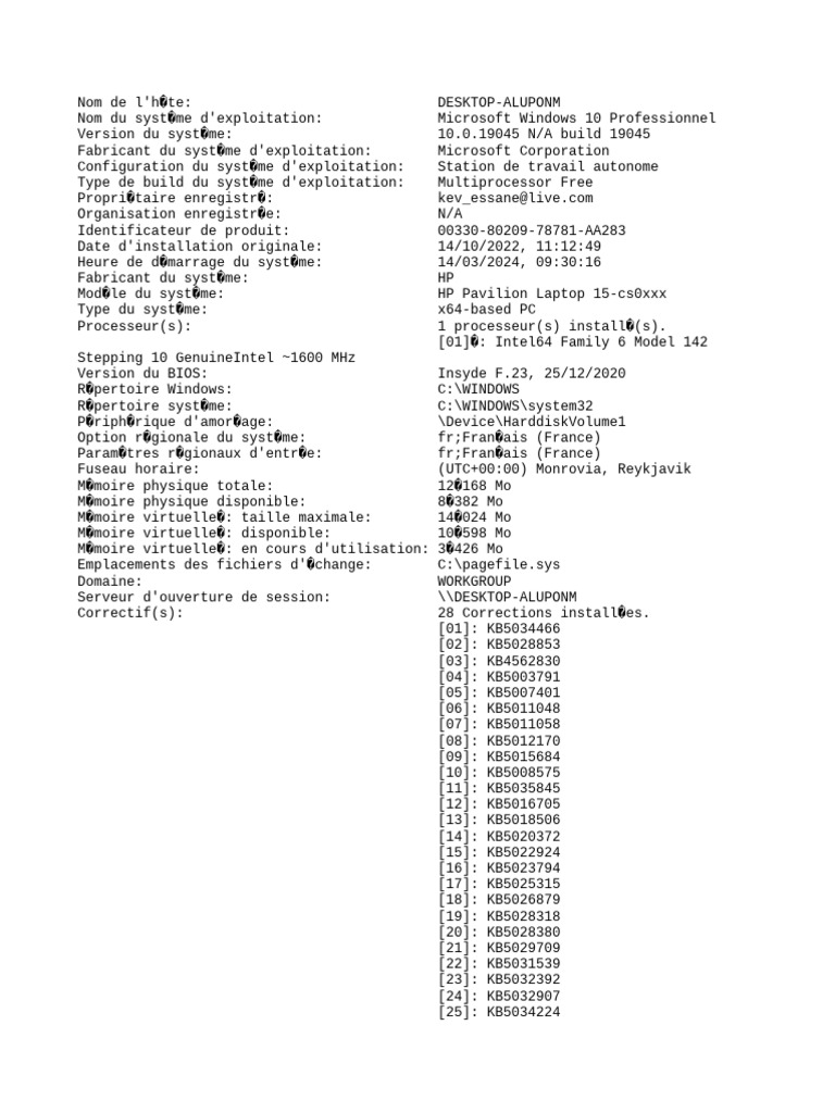 System Information | PDF