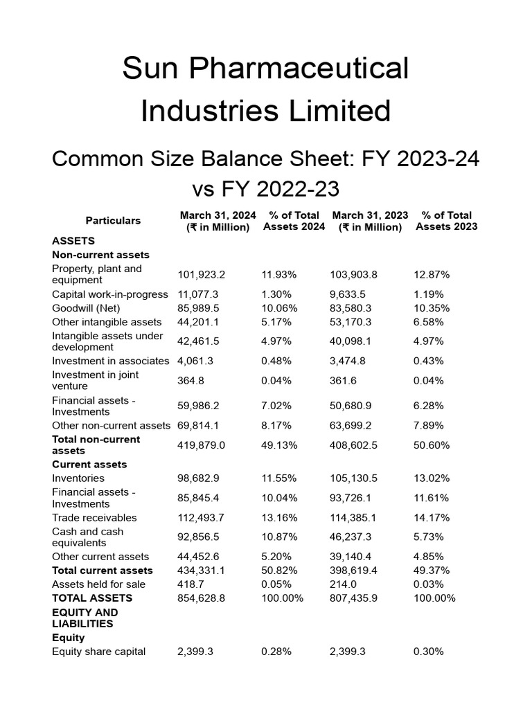 Common Size Balance Sheet 2023 2024 | PDF