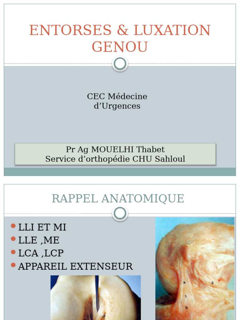 Entorse Et Luxation Genou | PDF