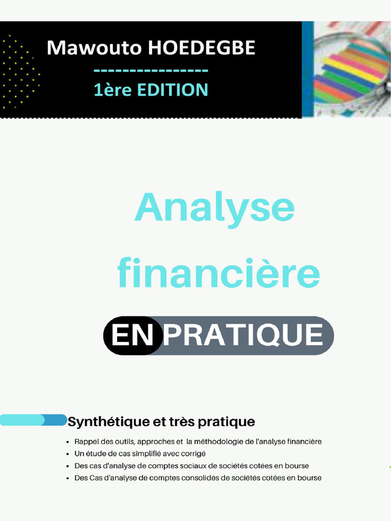 L'analyse Financiere en Pratique | PDF