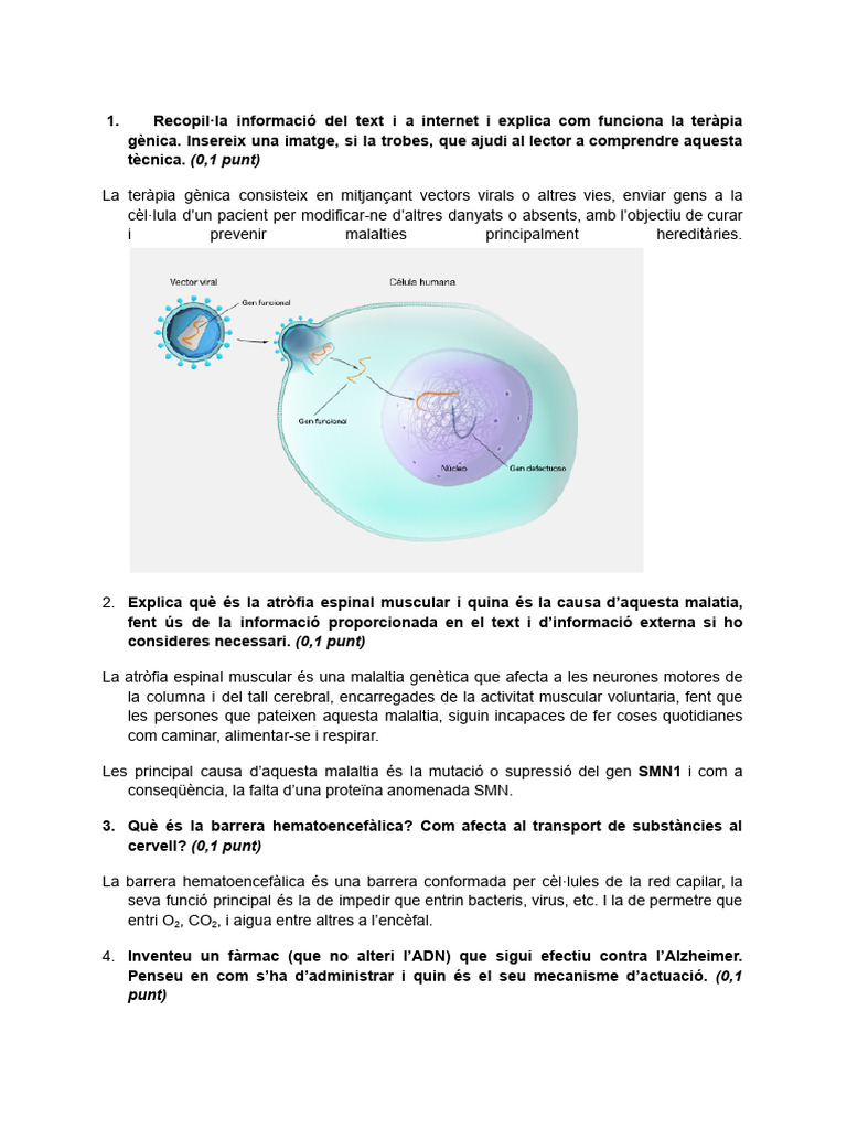 Teràpies Anti-Neurodegeneratives | PDF
