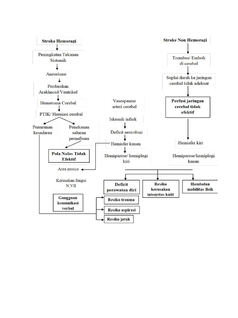 Pathway Stroke | PDF