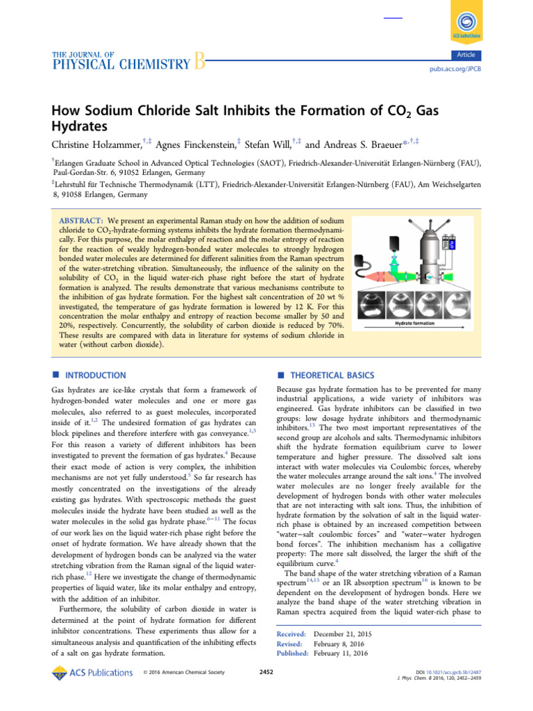 Holzammer Et Al 2016 How Sodium Chloride Salt Inhibits The Formation of ...