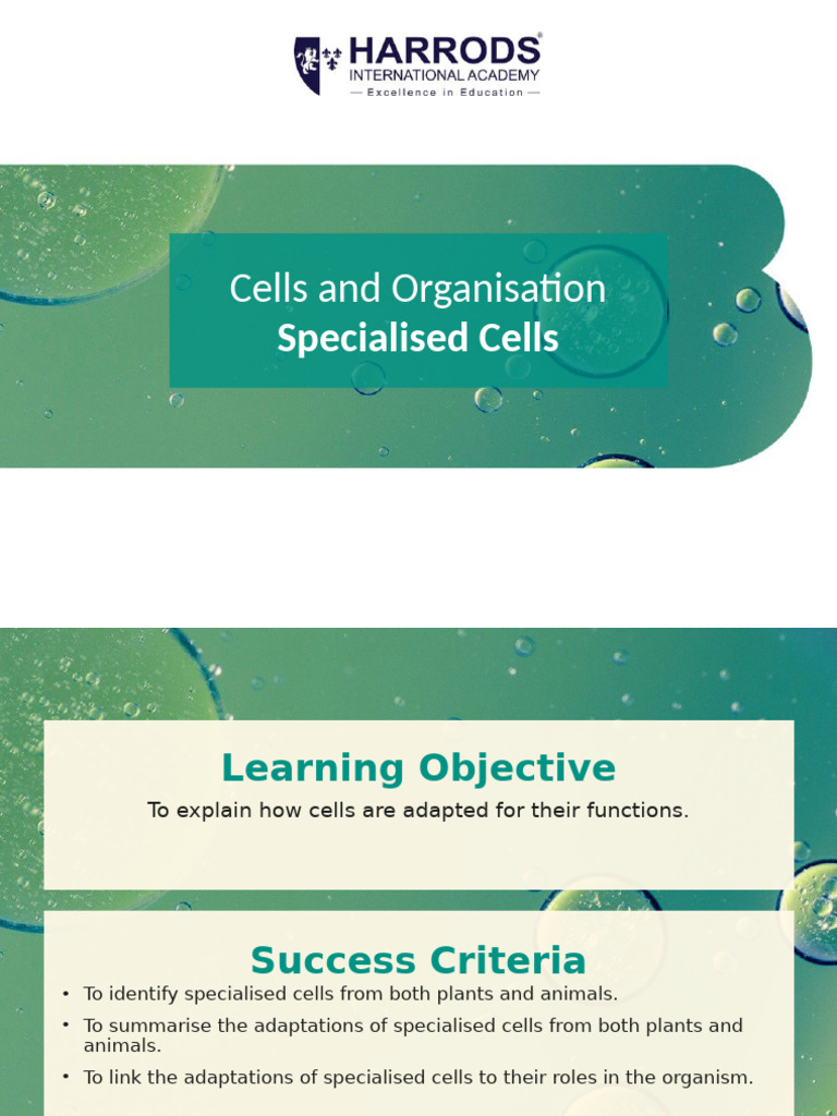 Week#5 Y7 Science - Specialised Cells PowerPoint | PDF
