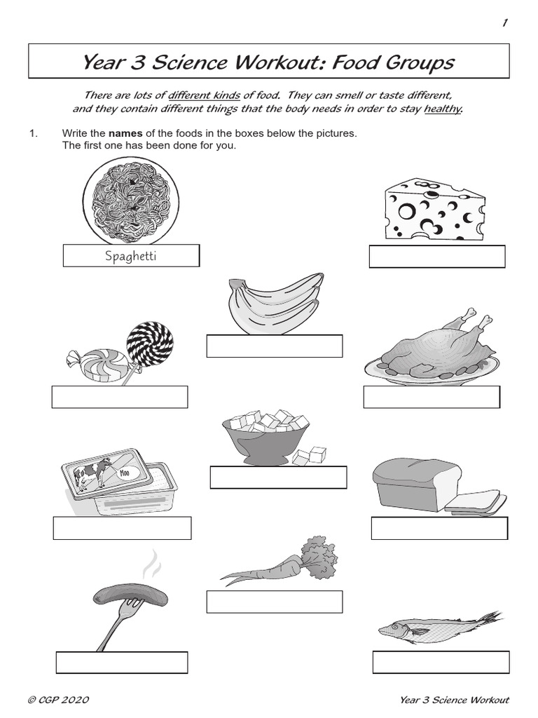 CGP Year 3 Science Workout | PDF