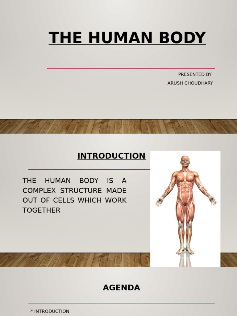 Human Body Presentation Arush | PDF