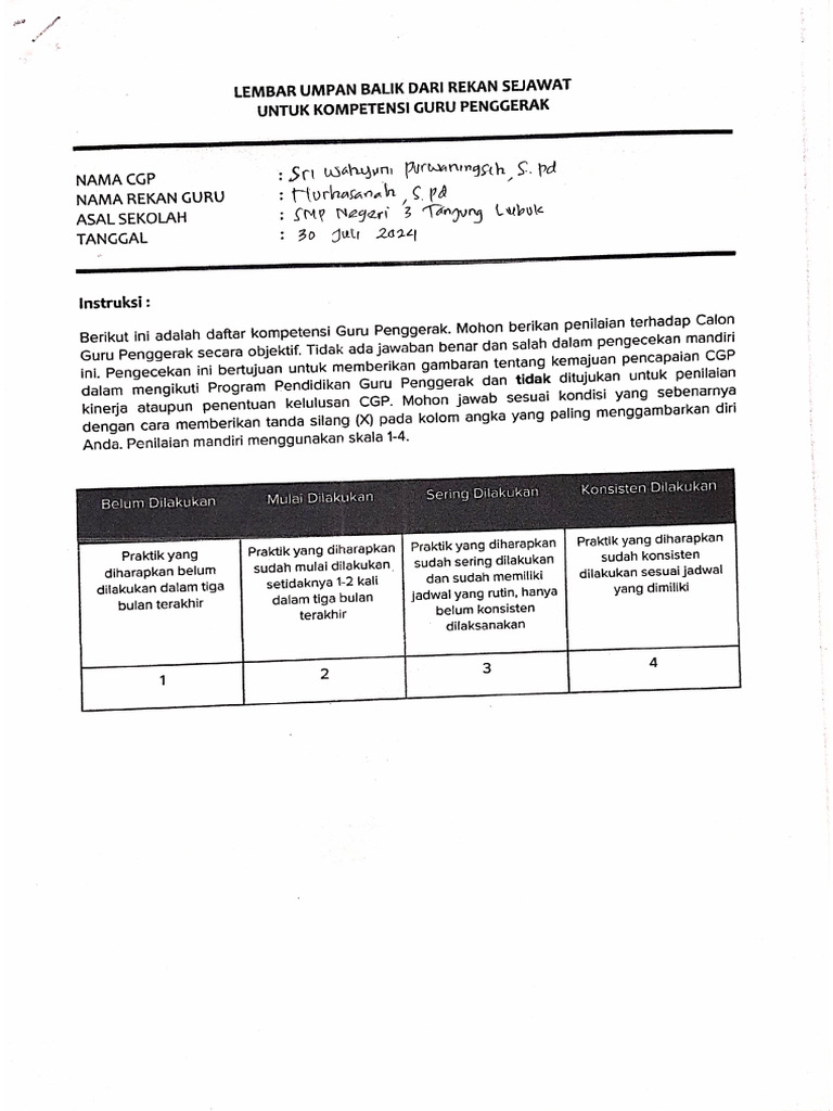 Angket Teman Sejawat | PDF