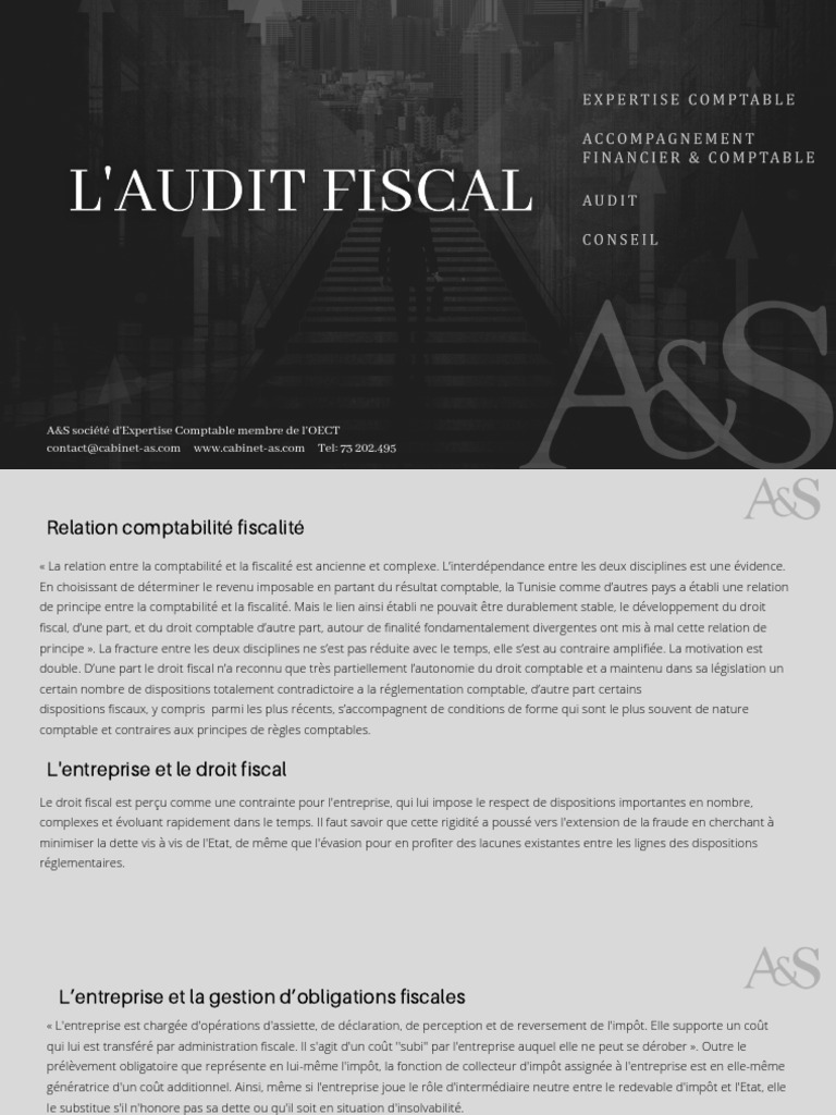 Audit Fiscal | PDF