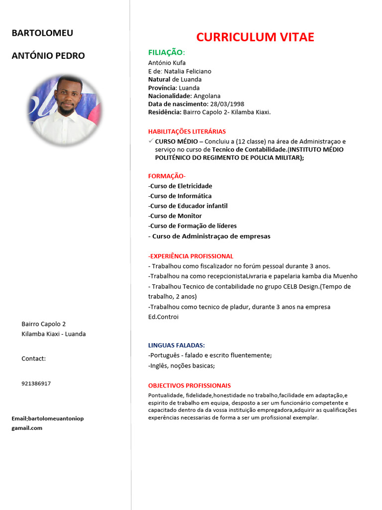 Curriculum Vitae Barto | PDF