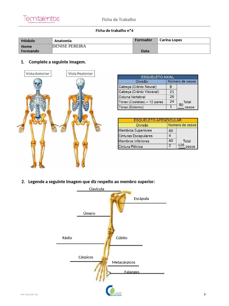 Ficha Trabalho 4 Anatomia v.2 | PDF