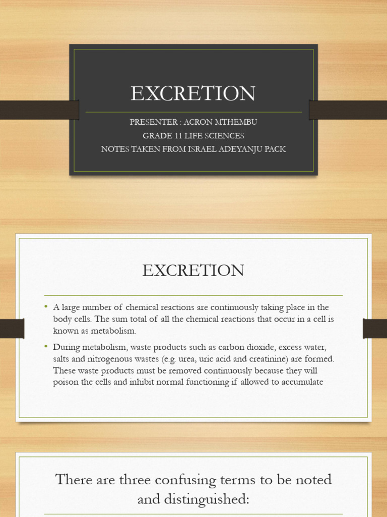 Excretion Grade 11 Ebta | PDF