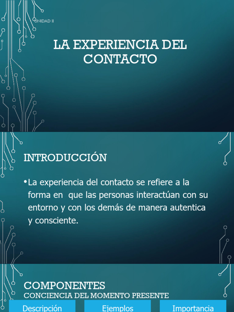 Tema 1 La Experiencia Del Contacto | PDF