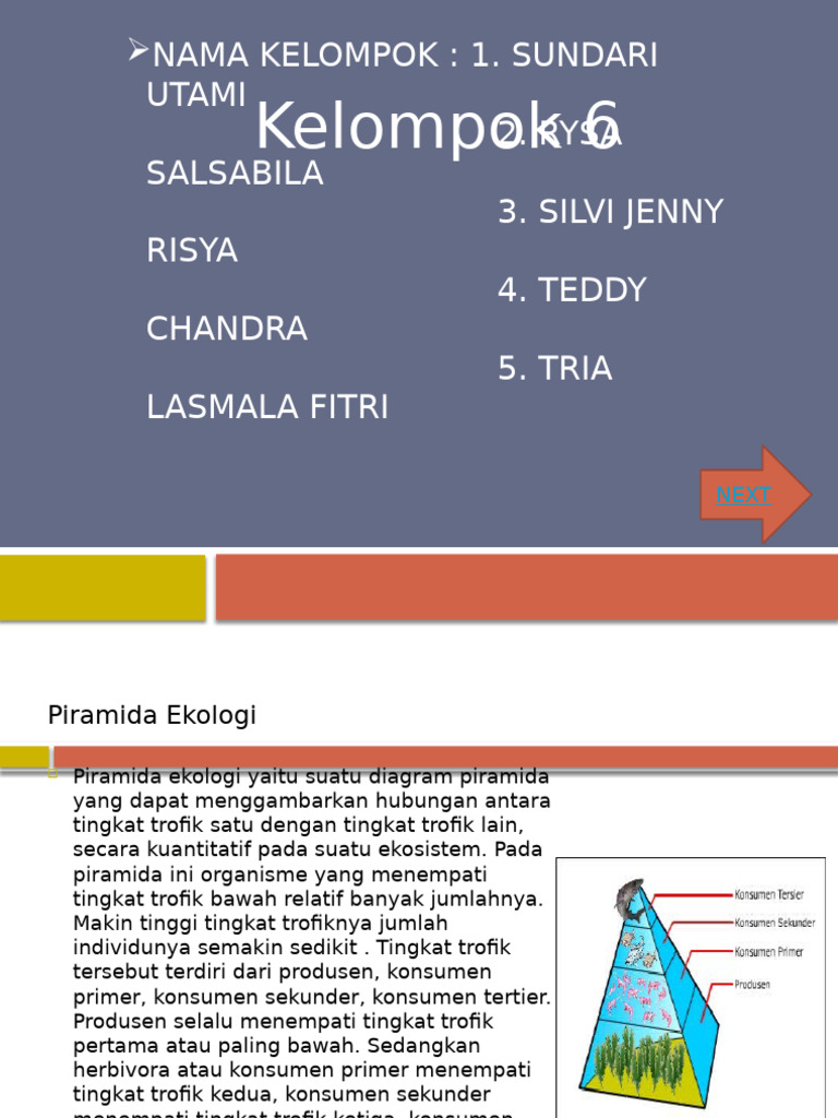 Piramida | PDF