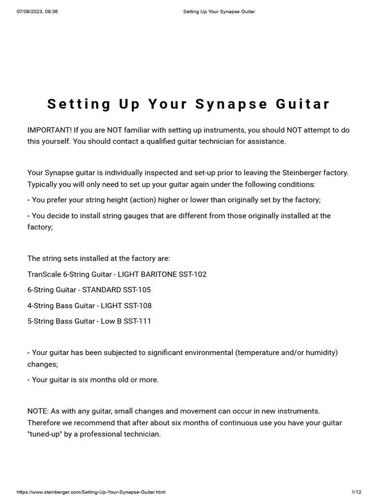 Setting Up Your Synapse Guitar | PDF