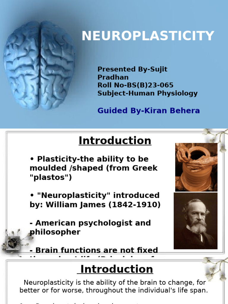 Neuroplasticity Wps Office | PDF