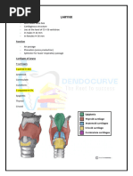 CRPP Femoral Neck | PDF | Hip | Anatomical Terms Of Location