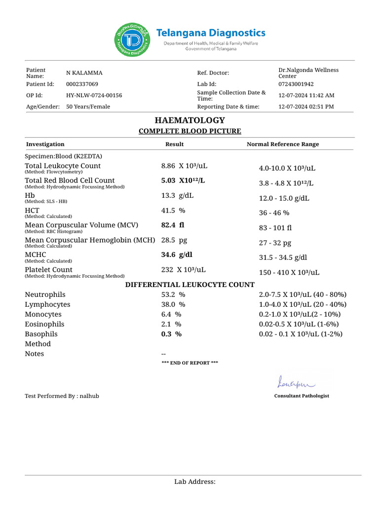 Lab Report - Print Preview | PDF