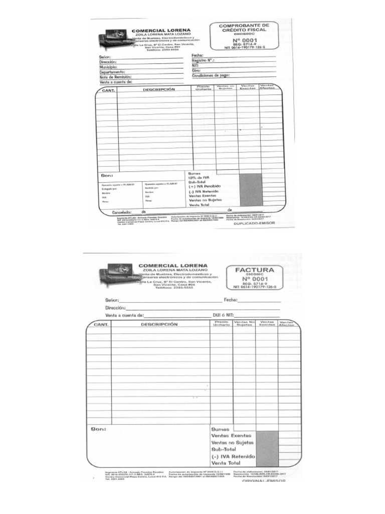 Formato de Facturas | PDF