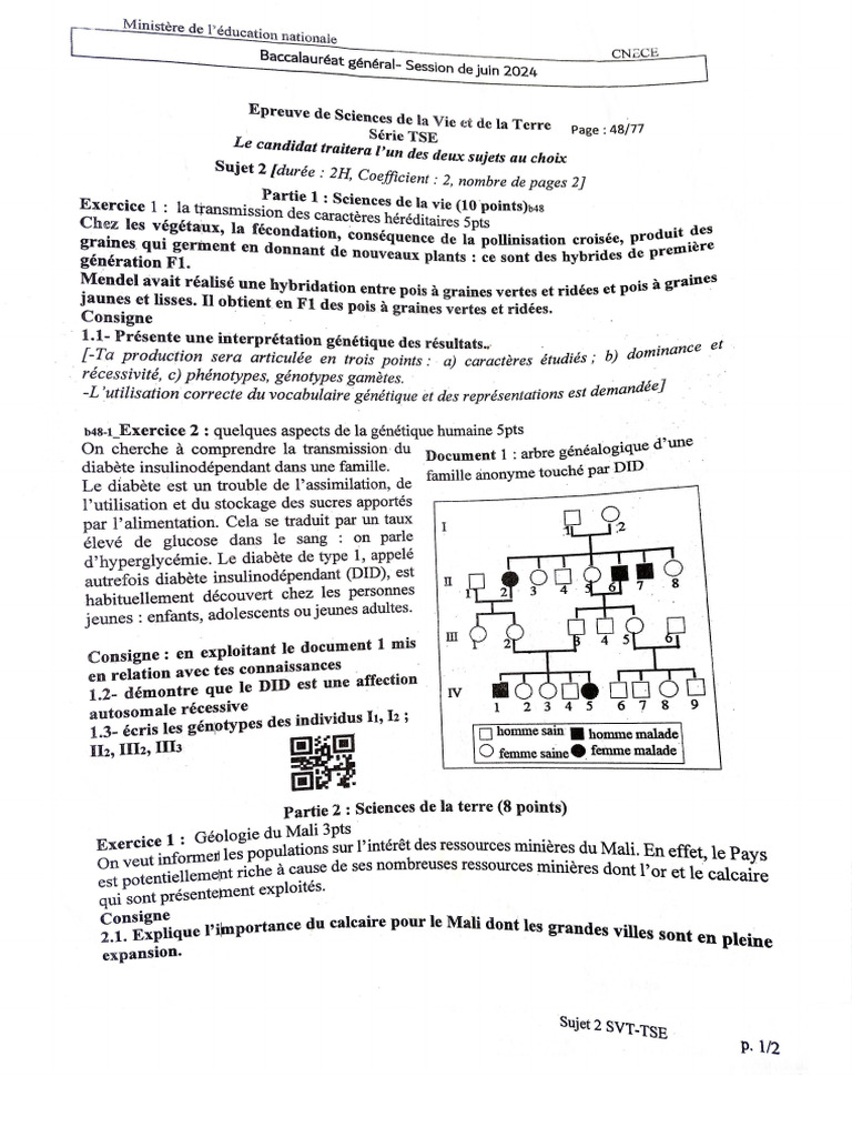 BK - Bac SVT Tse 2024 | PDF