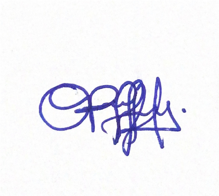 Robins Signature | PDF