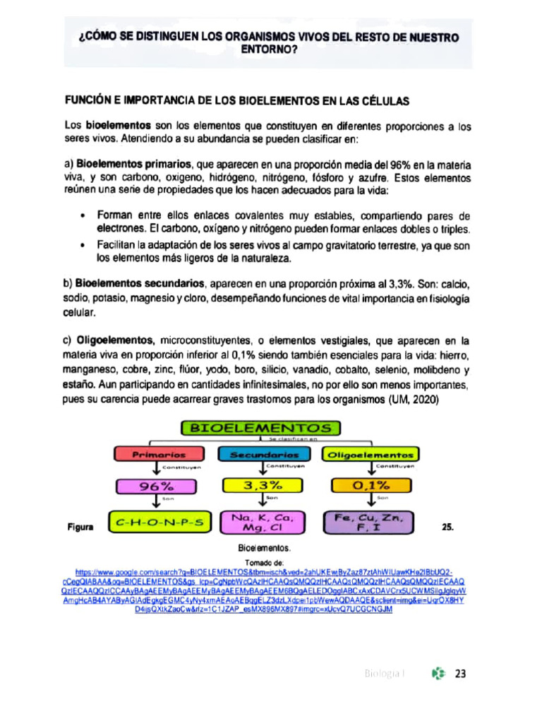 Bioelementos - Biomoleculas Organicas | PDF