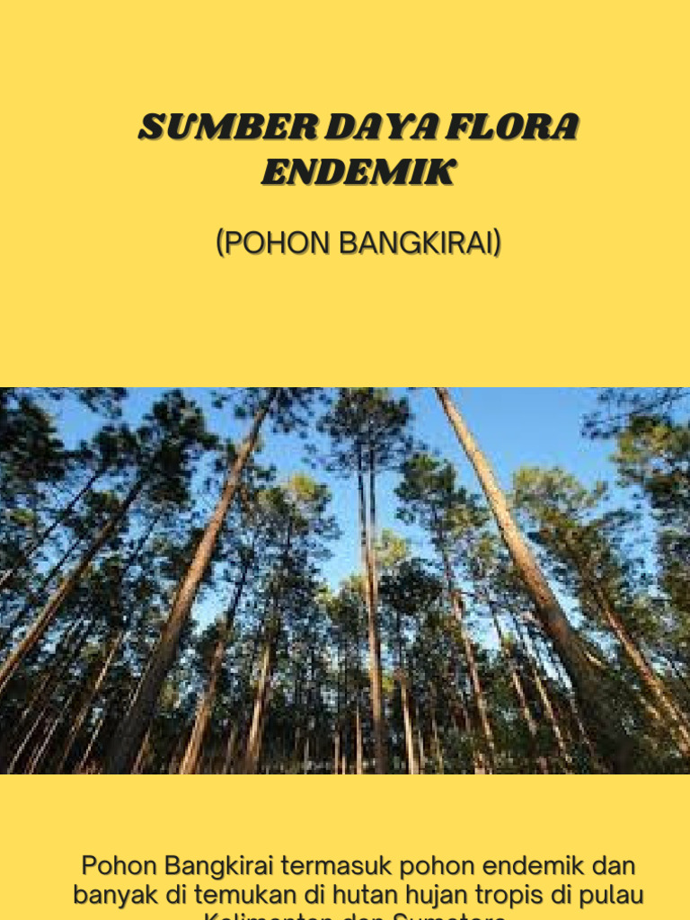 SUMBER DAYA FLORA ENDEMIK | PDF