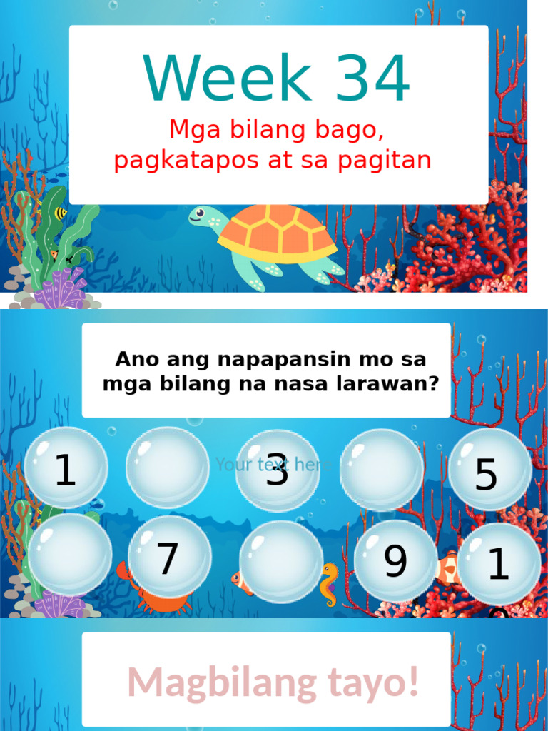 Before and After Numbers 1-10 Presentation | PDF