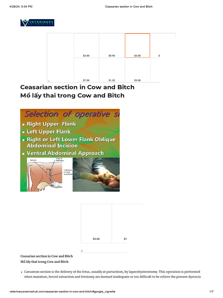 Ceasarian Section in Cow and Bitch | PDF | Caesarean Section | Peritoneum